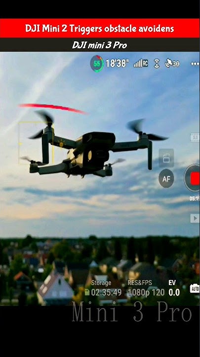 Dji mini 2 triggers obstacle avoidance Dji mini 3 Pro #dji - YouTube