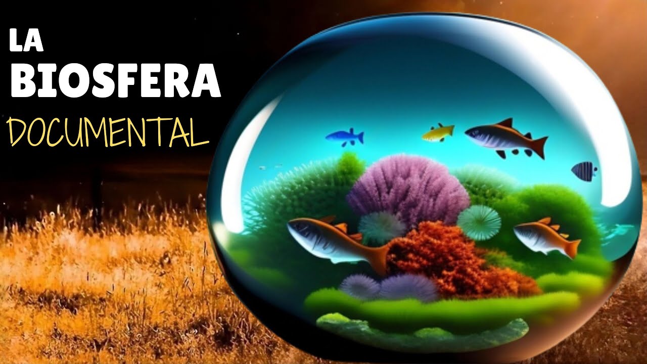 LA BIOSFERA, documental de la biosfera completo en español, La biosfera ...