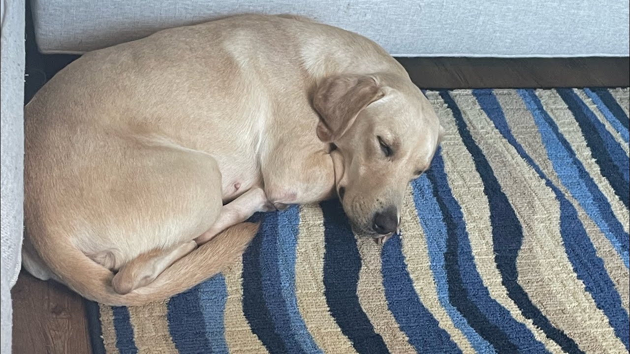 Day 55/17 to go - YouTube