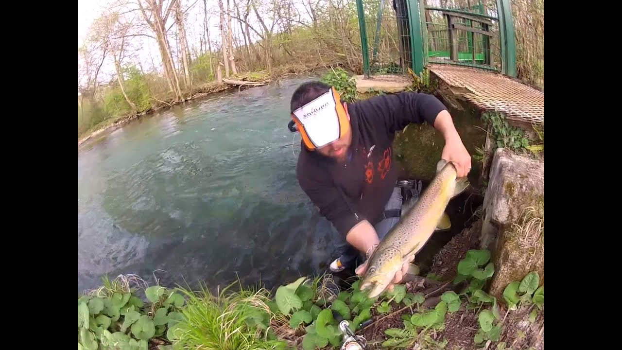TROUT FISHING CHARENTE - YouTube