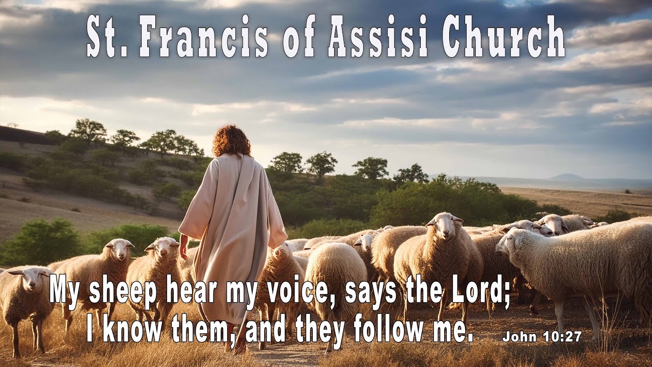 St. Francis of Assisi Church Sixteenth Sunday in Ordinary Time 4 pm Vigil Mass - YouTube
