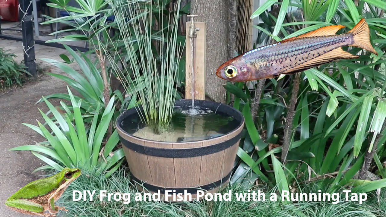 How To Make a Whiskey Barrel Pond with a Running Tap Water Feature for ...