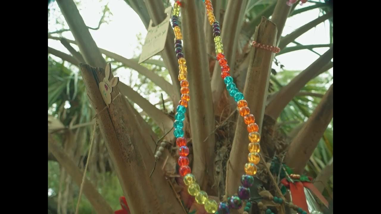 Lumix GH6 Open Gate: Windy Day - YouTube