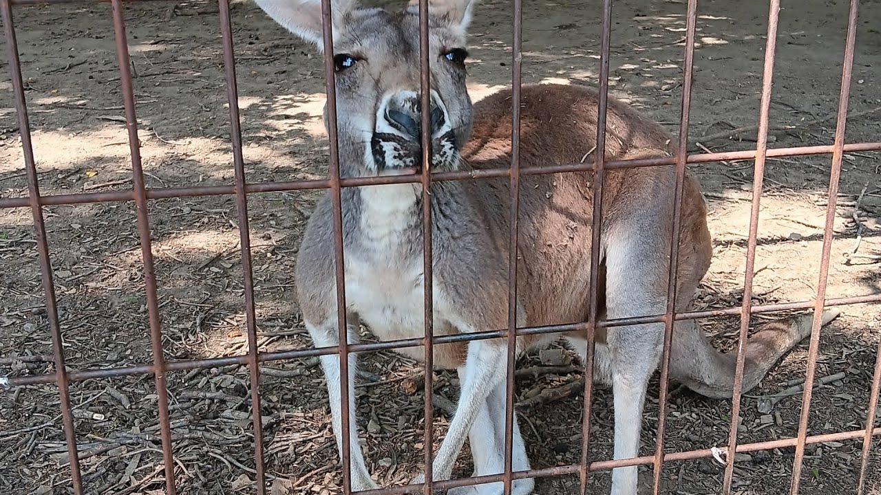 Visiting Idle Hour Ranch in Troy Ohio - YouTube