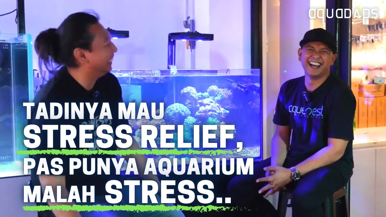 Syarat MUTLAK pelihara Coral (Chit-chat @ Java Reef) - YouTube