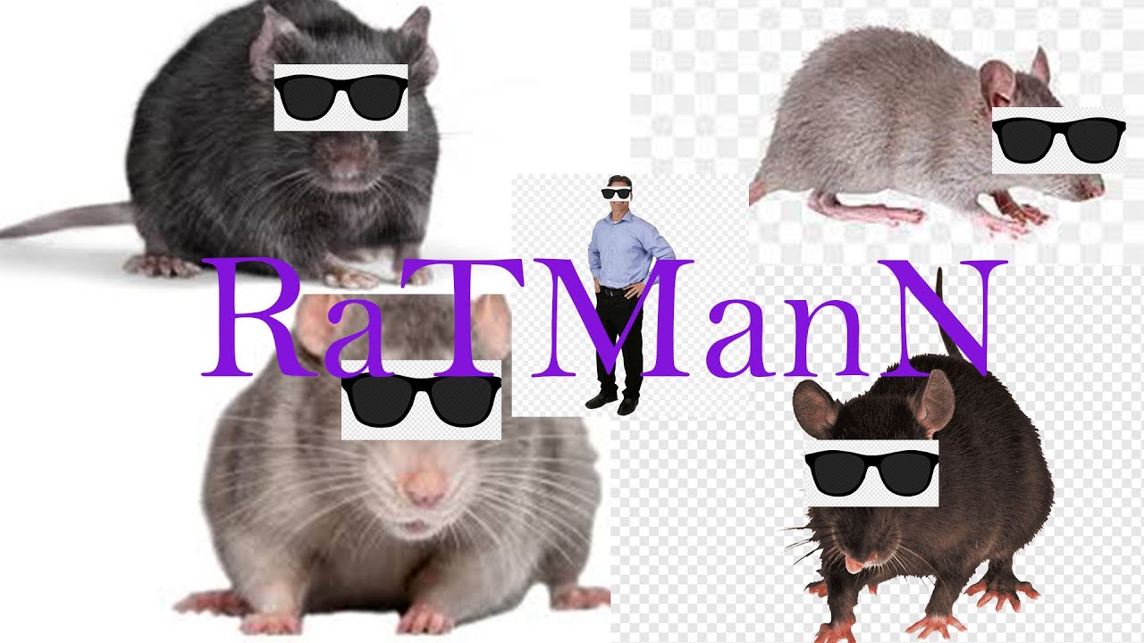 RaTManN - YouTube