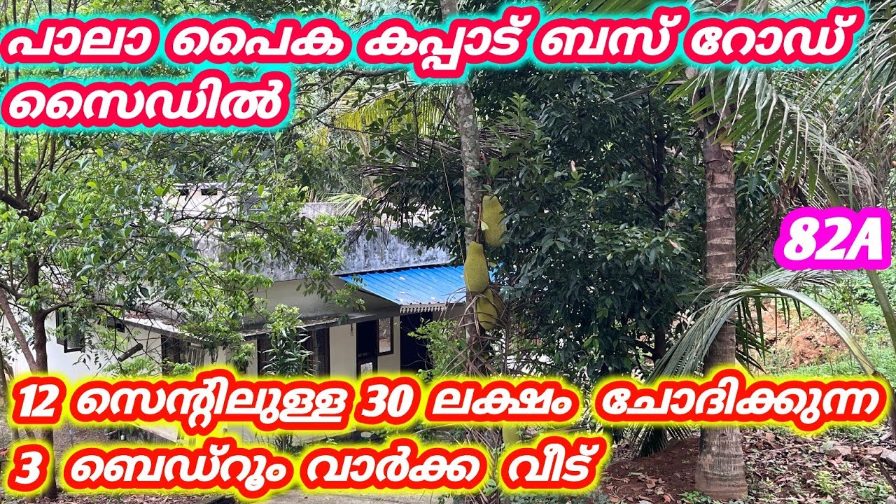 12 Cent low budget 3 bedroom house for sale near pala paika kappad bus ...