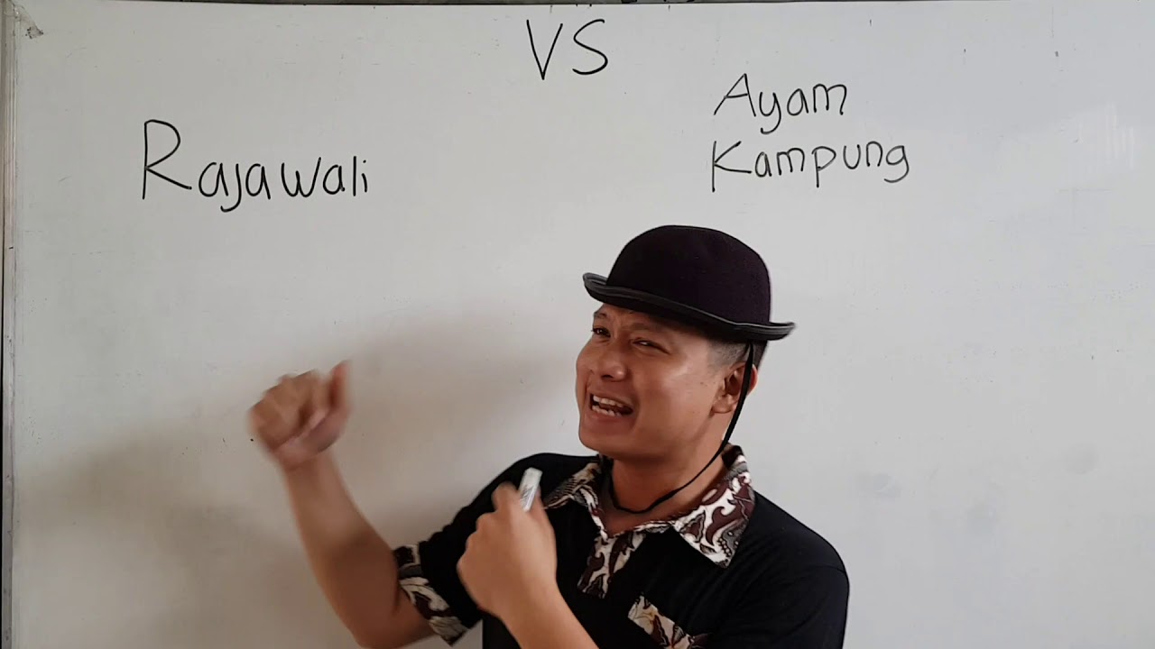 Tim Rajawali - YouTube