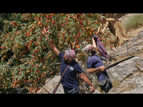 A mysterious discovery in the mountains leads to chaos with Tayyiba!