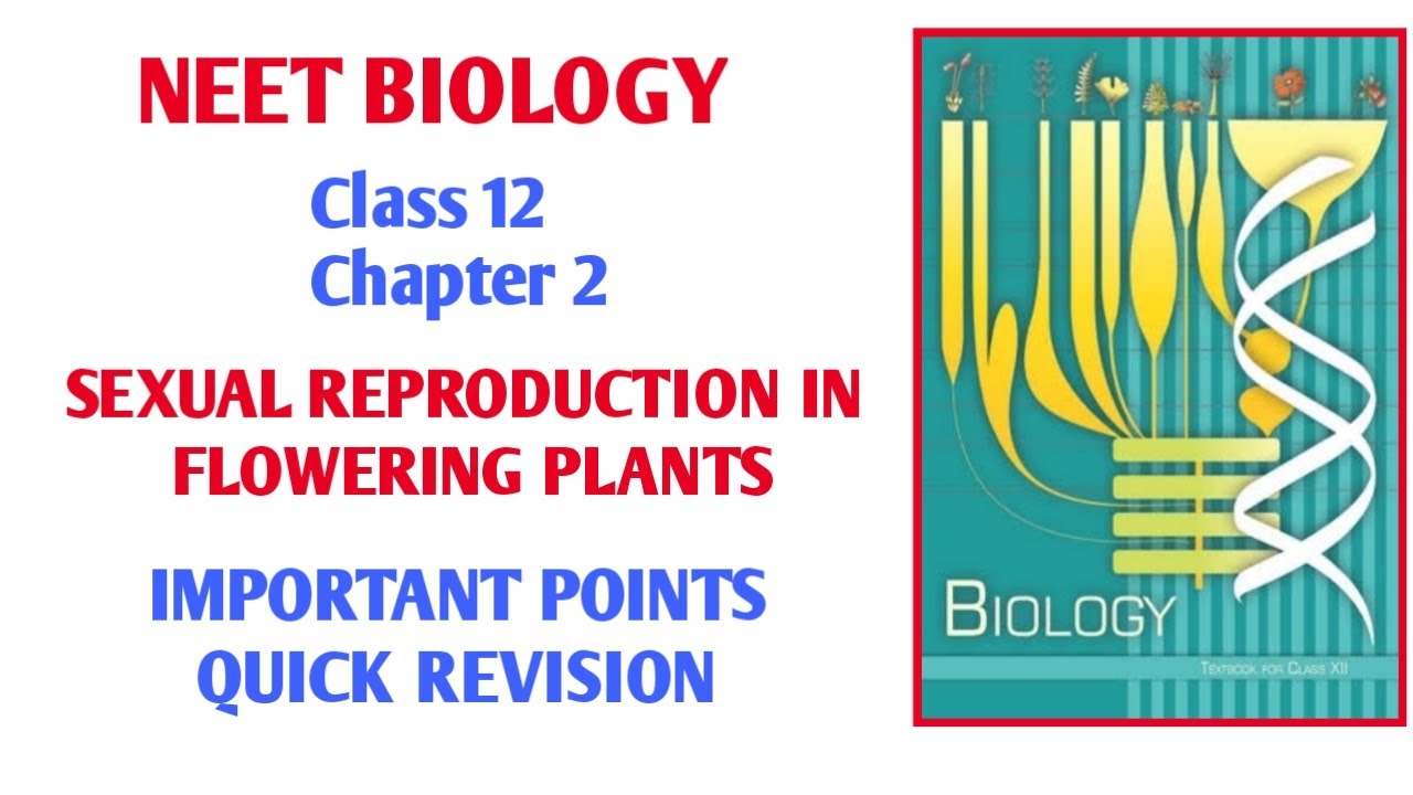 Neet Ncert Biology quick revision class 12 Chapter 2 Sexual ...