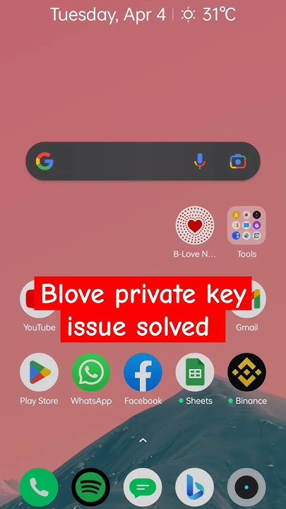 blove private key issue resolved #blove #blovepakistan #privatekey #referralcode #bficnetwork ...