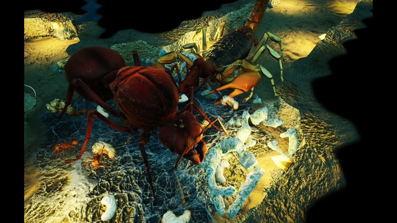 Scorpion Picks Up Leaf-cutter Queen | Empires of the Undergrowth ...