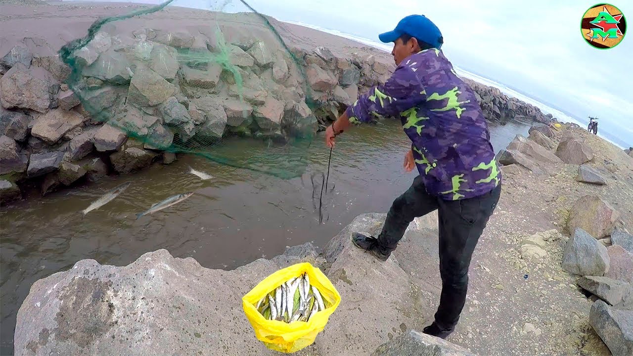 TOP 10 SIGUIENDO AL PEZ! Las Técnicas de PESCA con Atarraya en Ríos ...
