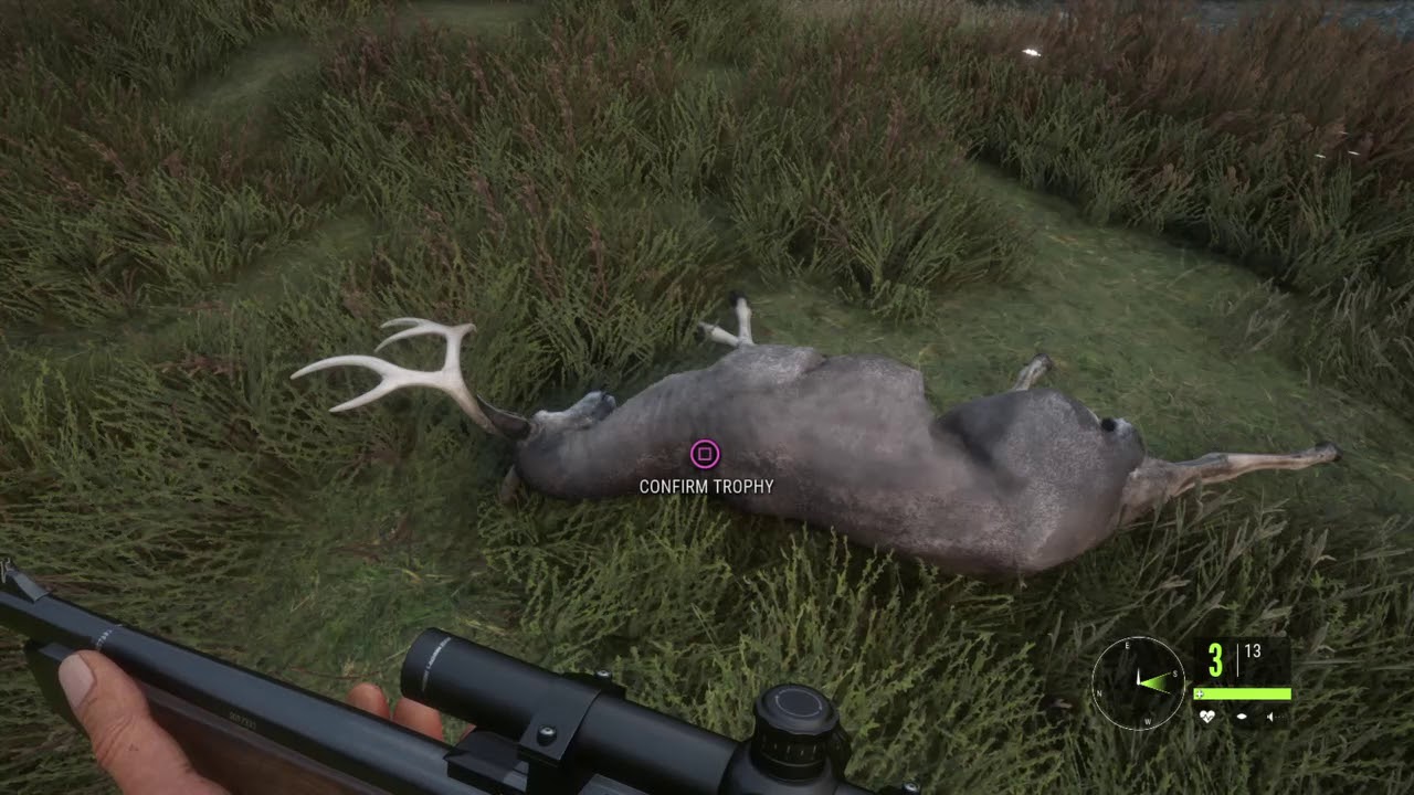 theHunter: COTW - Big Blacktails Near Cheelah Lake!! - YouTube