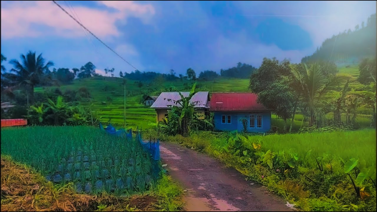 Walking in the Indonesian hidden mountain Village | Sirampog Brebes ...