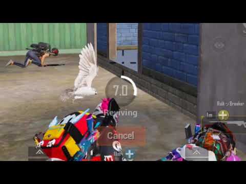 Bad style Time Back | Pubg Mobile Global Version Gameplay clips