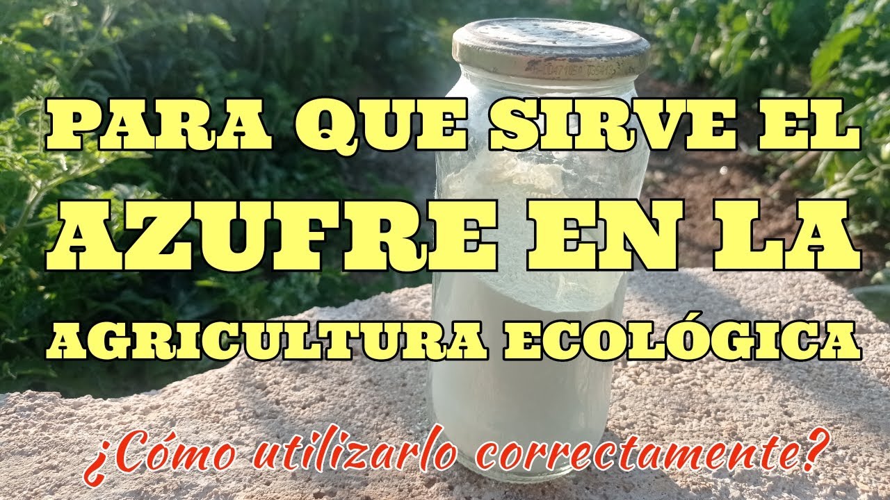 🍅 PARA QUE SIRVE EL AZUFRE EN LA AGRICULTURA ECOLÓGICA Y COMO APLICARLO ...