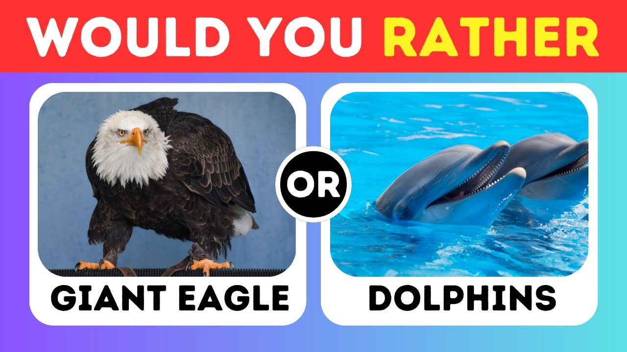 Would You Rather Brain Break: Animal Edition #wouldyourather # ...