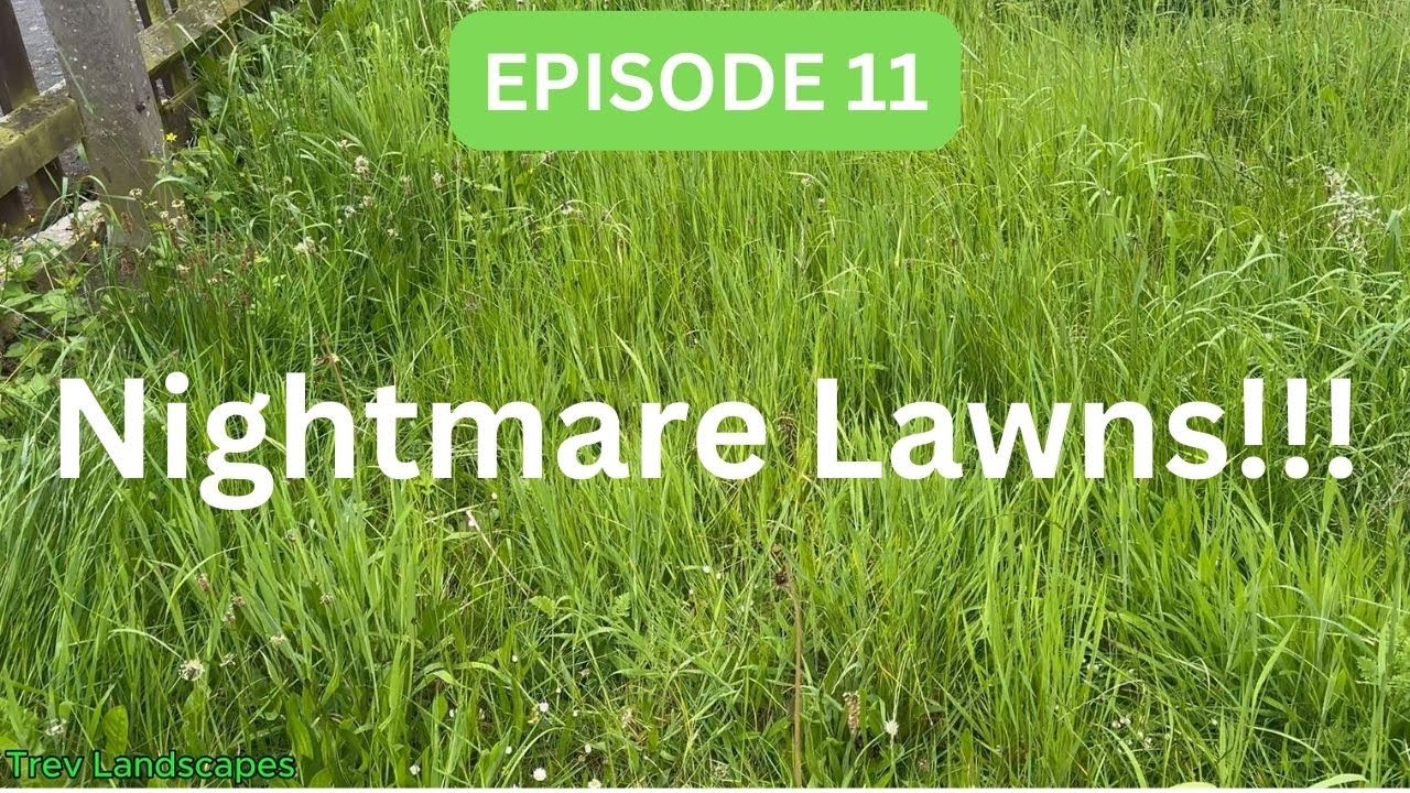 Episode 11: Nightmare Lawns || Landscaping || Gardening - YouTube