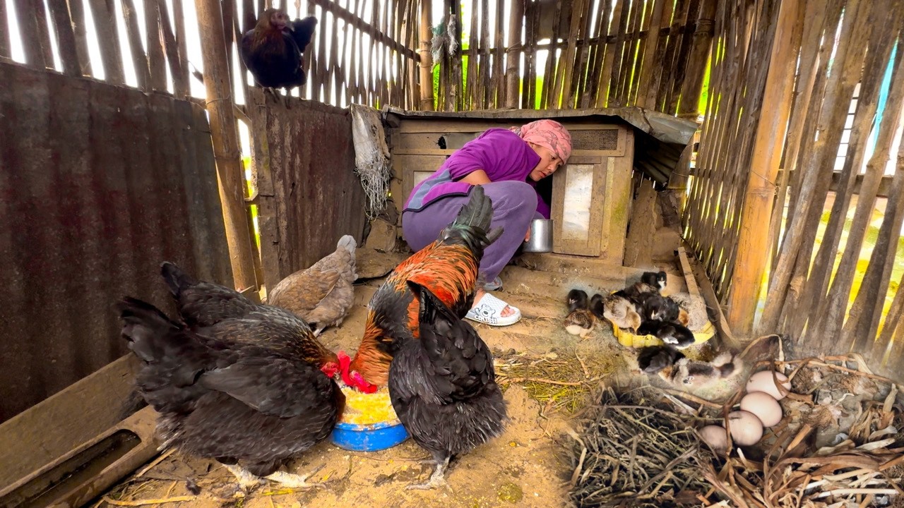 Simplicity in the Nepali Countryside | Daily Morning Routine ...