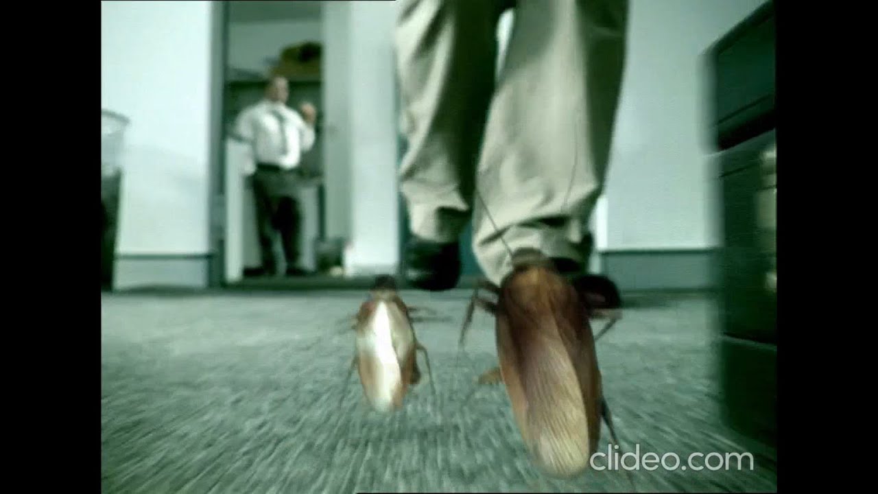 V Energy 2004 Bug Commercial - Tiny Talking Cockroaches - YouTube