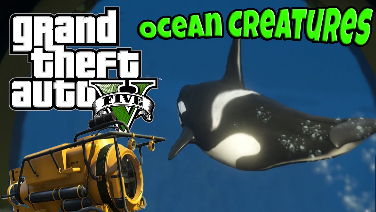 GTA 5 - Underwater Creatures Skit (Sharks, Dolphins, and Killer Whales ...