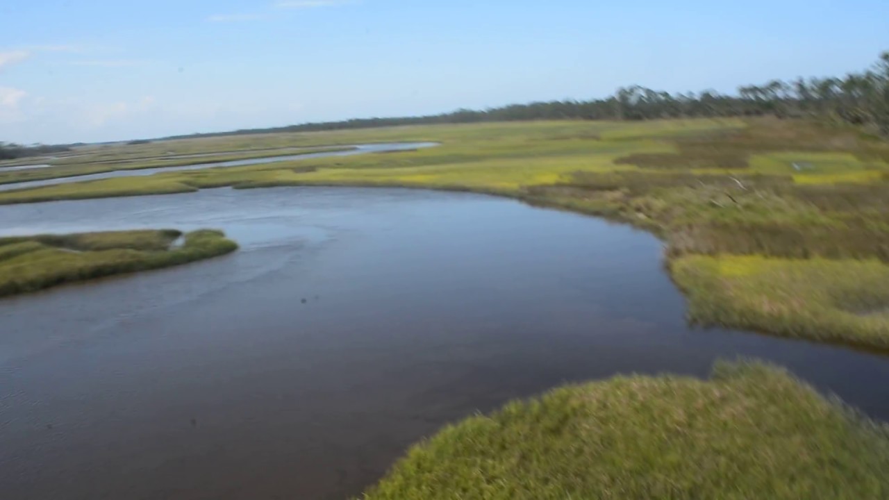 Capo Tower Views, Guana River WMA, St. Augustine, Florida - YouTube