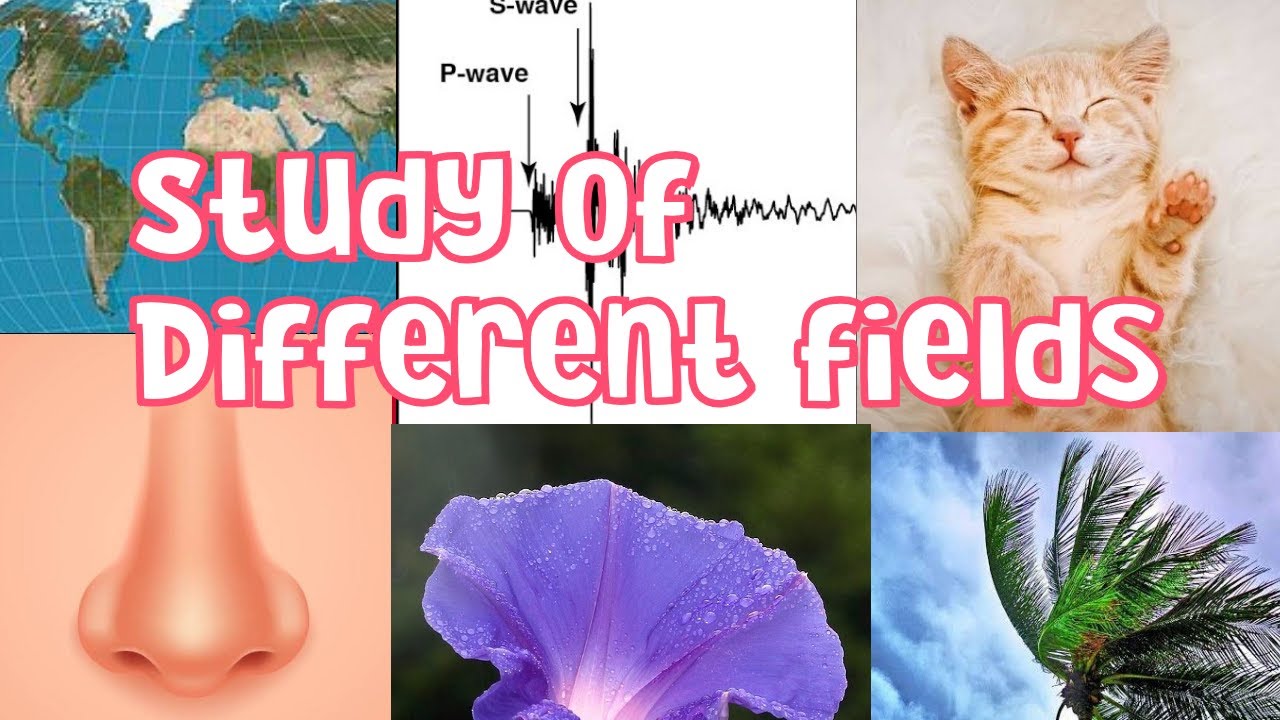 Different fields of Studies and it's names. - YouTube