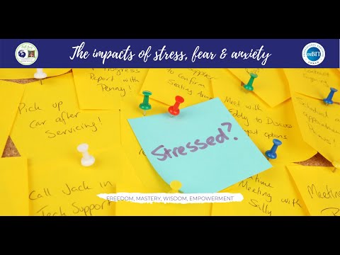 How stress, fear and anxiety rob us of the ability to make good ...