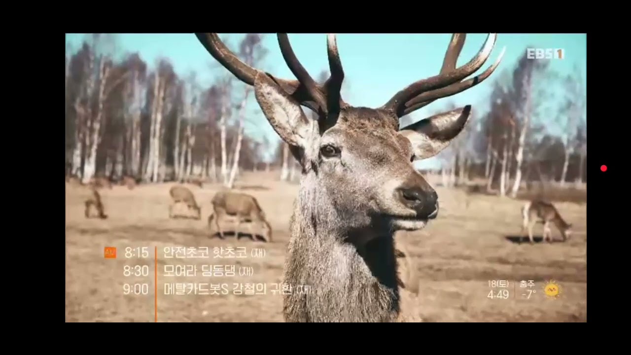 20250118 EBS1 방송순서영상(음악만 수정) - YouTube