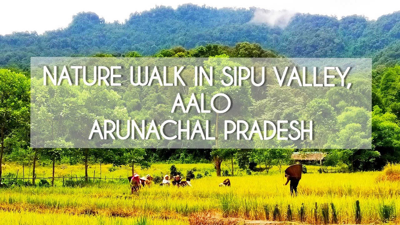 Nature Walk in Sipu Valley, Aalo, Arunachal Pradesh - YouTube