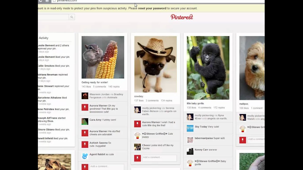 Pinterest Marketing: PinPioneer Support (Troubleshooting) - YouTube