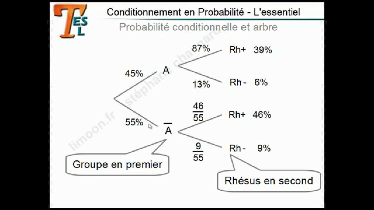 Maths TES TL - Probabilités conditionnelles - Mathématiques Terminale ...