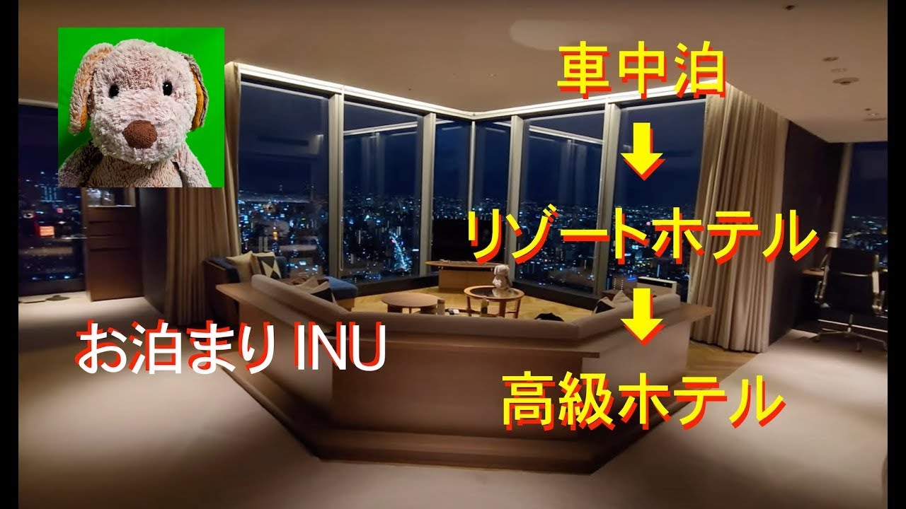 車中泊→リゾートホテル→高級ホテル INUのお泊まりドライブ！ INU sleepover! Car Overnight Stay→ ...