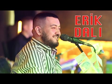 Hakan İşleyen - ERİK DALI GEVREKTİR