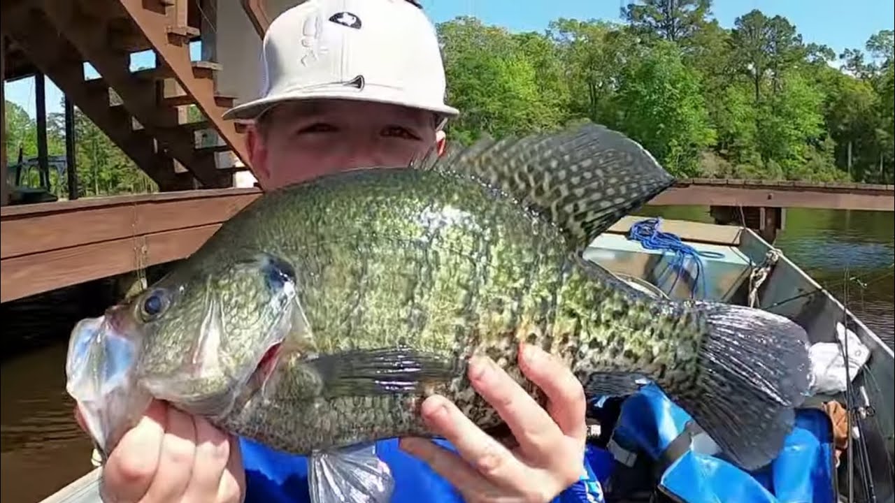 2 HOURS OF SLAB CRAPPIE FISHING UNDER DOCKS USING CRAPPIE JIGS & LIVE ...