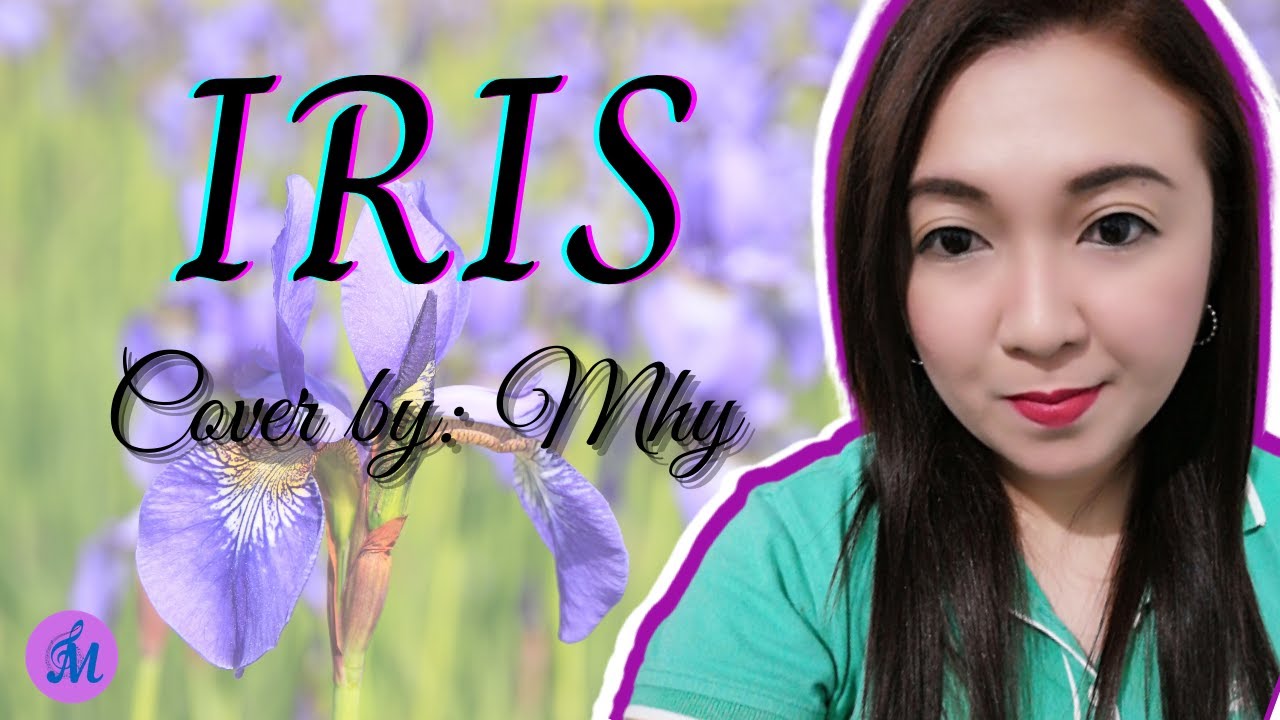Iris - The Goo Goo Dolls (lyrics) | Cover by Mhy | Short Version - YouTube