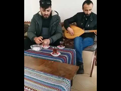 kara tıren gecikir