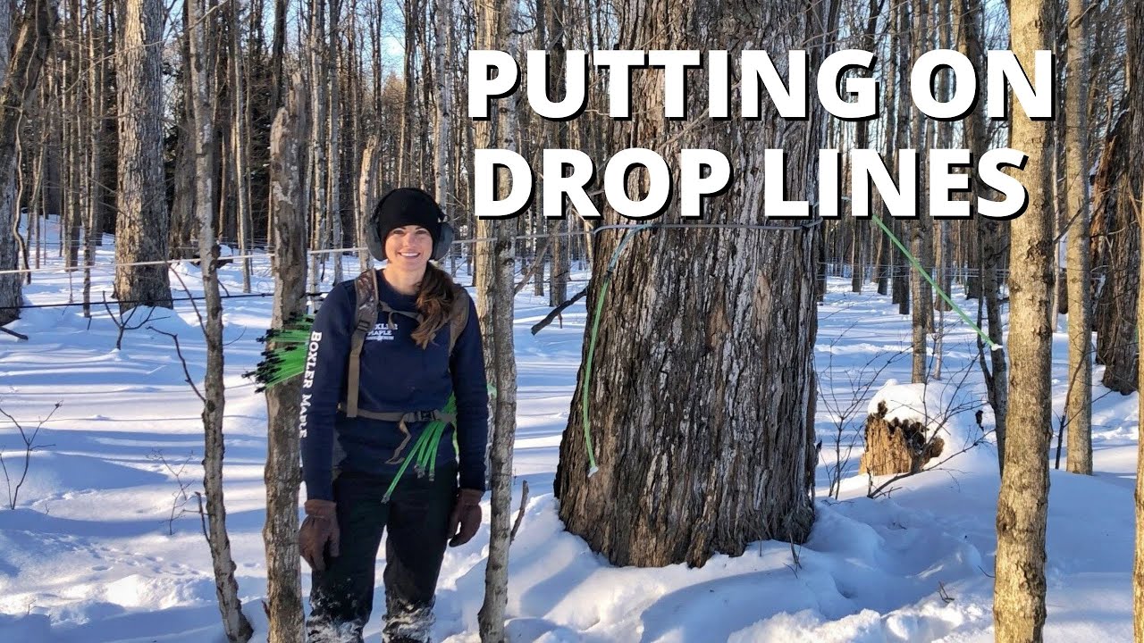 I'm Back and Putting on Drop Lines - YouTube