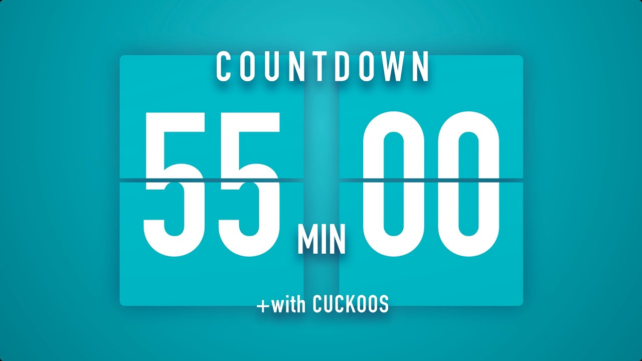 55 Minutes Countdown Flip Clock Timer / Cuckoos 🐦 - YouTube