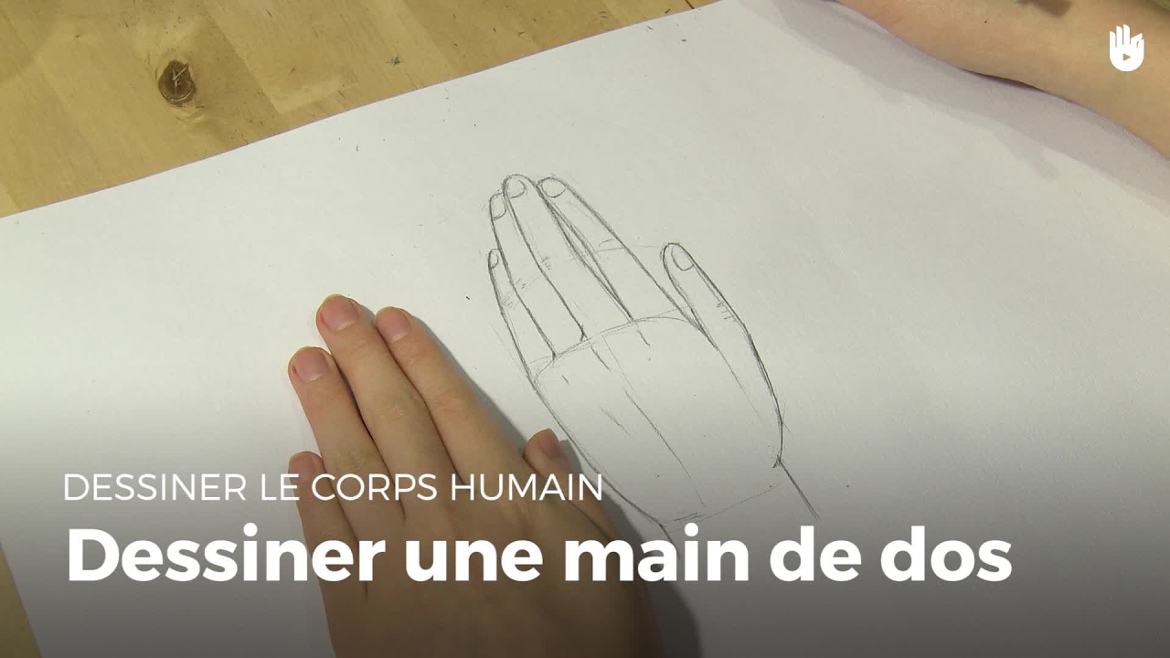 Dessiner le Dos De La Main | Apprendre à dessiner - YouTube