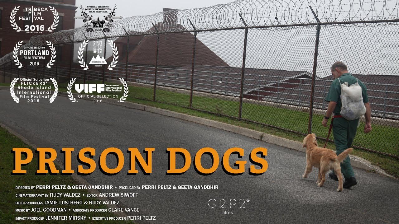 Prison Dogs - Trailer - YouTube