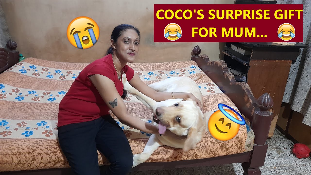 MUM GETS A SURPRISE GIFT FROM COCO | WATCH HOW COCO PUNISHNES MUM FOR ...