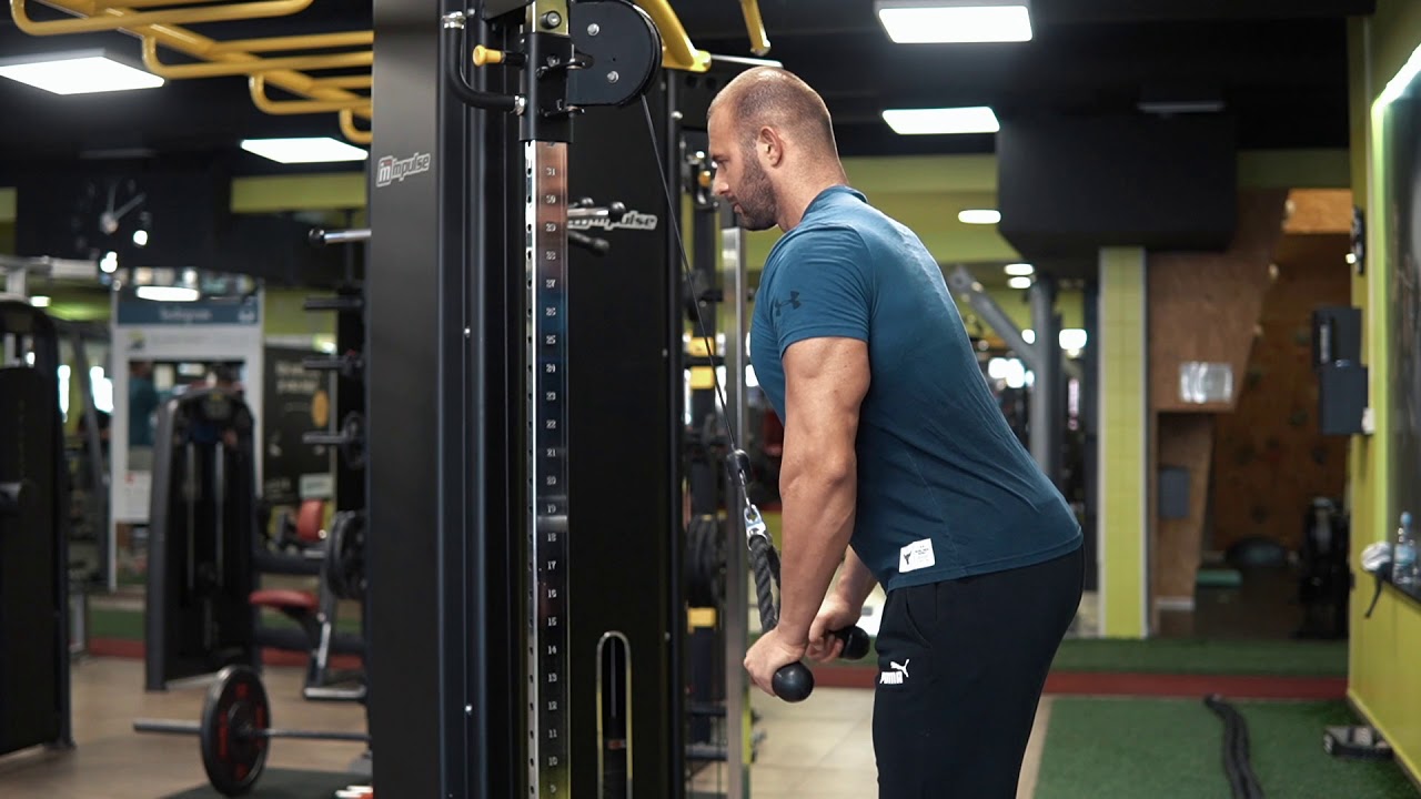 Triceps Rope Pushdown - YouTube