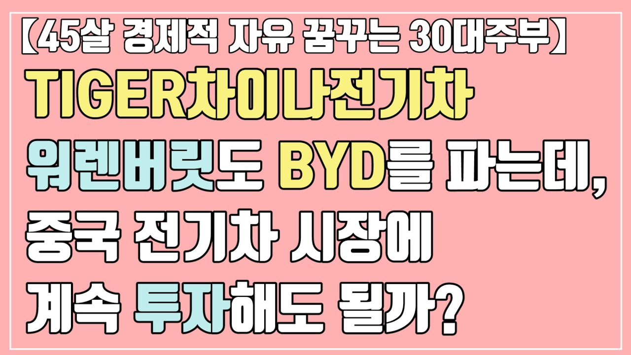 차이나전기차 장기 성장성에 문제가 생긴걸까 차이나전기차 악재 4가지와 이에 대한 생각 워렌버핏 Byd 중국 도시봉쇄