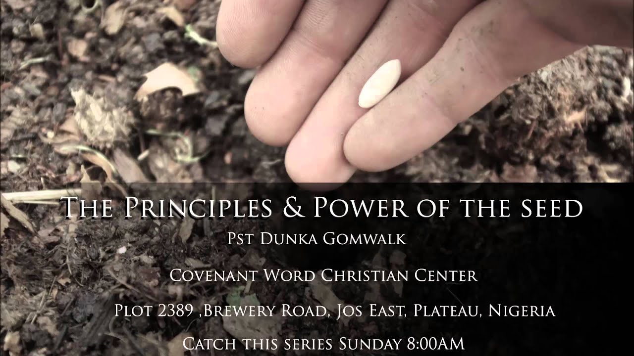The Principle & power of the seed - YouTube