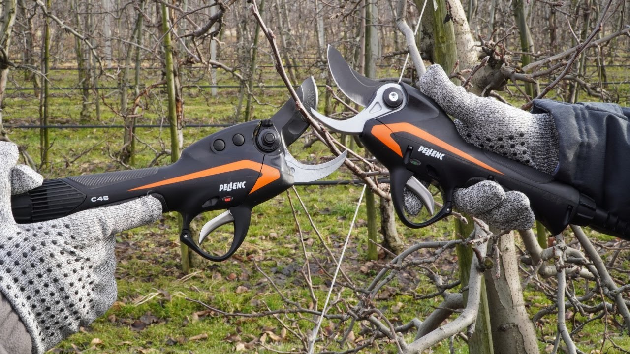 Siła, szybkość, bezpieczeństwo – nowy Pellenc już w Activ! - YouTube