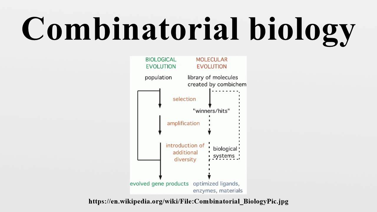 Combinatorial biology - YouTube