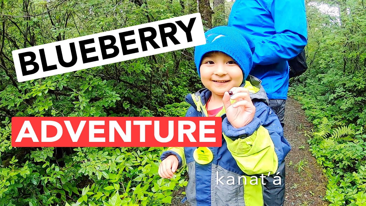 Blueberry Adventure in Juneau, Alaska - YouTube