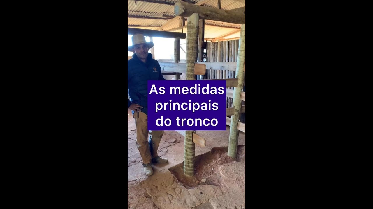 As medidas do tronco - YouTube